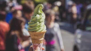 What is Matcha?｜Matcha Lab