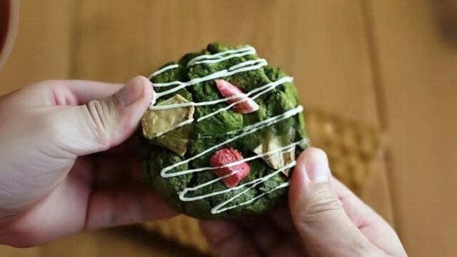 What is Matcha?｜Matcha Lab